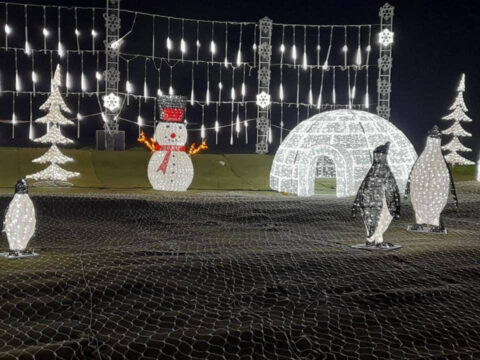 Snow Activities, Queensland Snow, Brisbane Snow Play